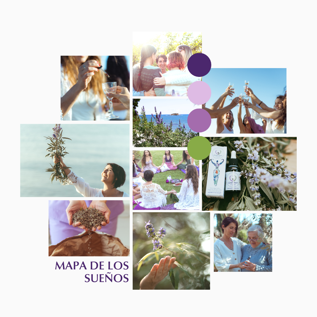 CÓMO HACER TU MAPA DE LOS SUEÑOS - Ginevítex